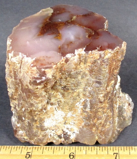 PW104 Nevada Pink Petrified Wood - The Rock Shed