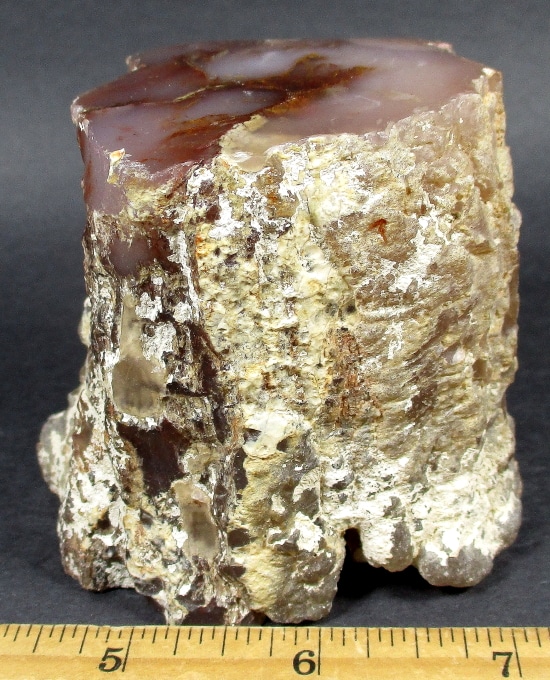 PW104 Nevada Pink Petrified Wood - The Rock Shed