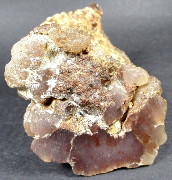 PW104 Nevada Pink Petrified Wood - The Rock Shed