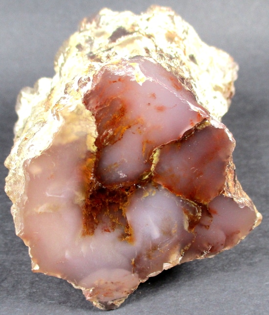 PW104 Nevada Pink Petrified Wood - The Rock Shed