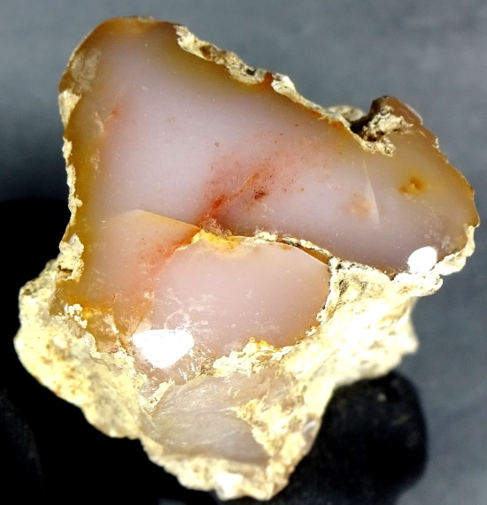 PW200 Nevada Pink Petrified Wood - The Rock Shed