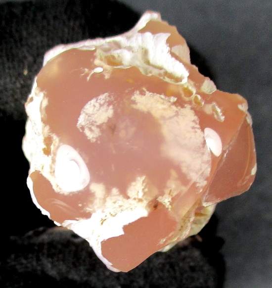 PW200 Nevada Pink Petrified Wood - The Rock Shed
