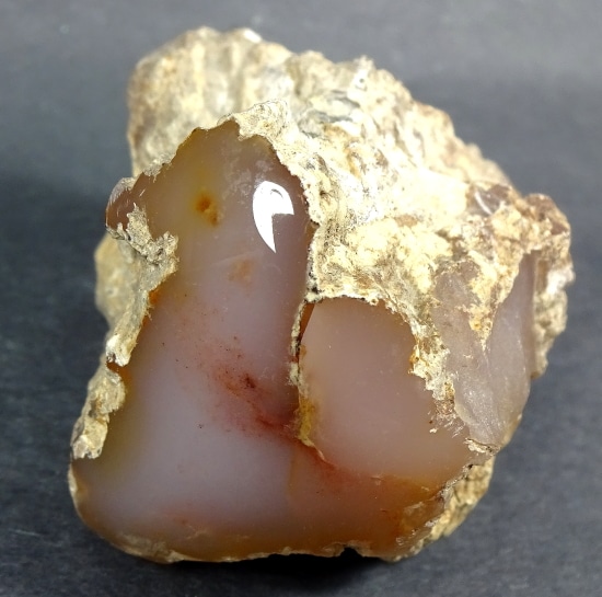 PW200 Nevada Pink Petrified Wood - The Rock Shed