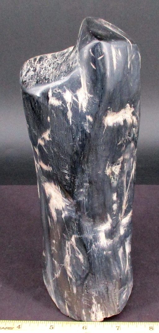 PW306 Indonesia Petrified Wood - The Rock Shed