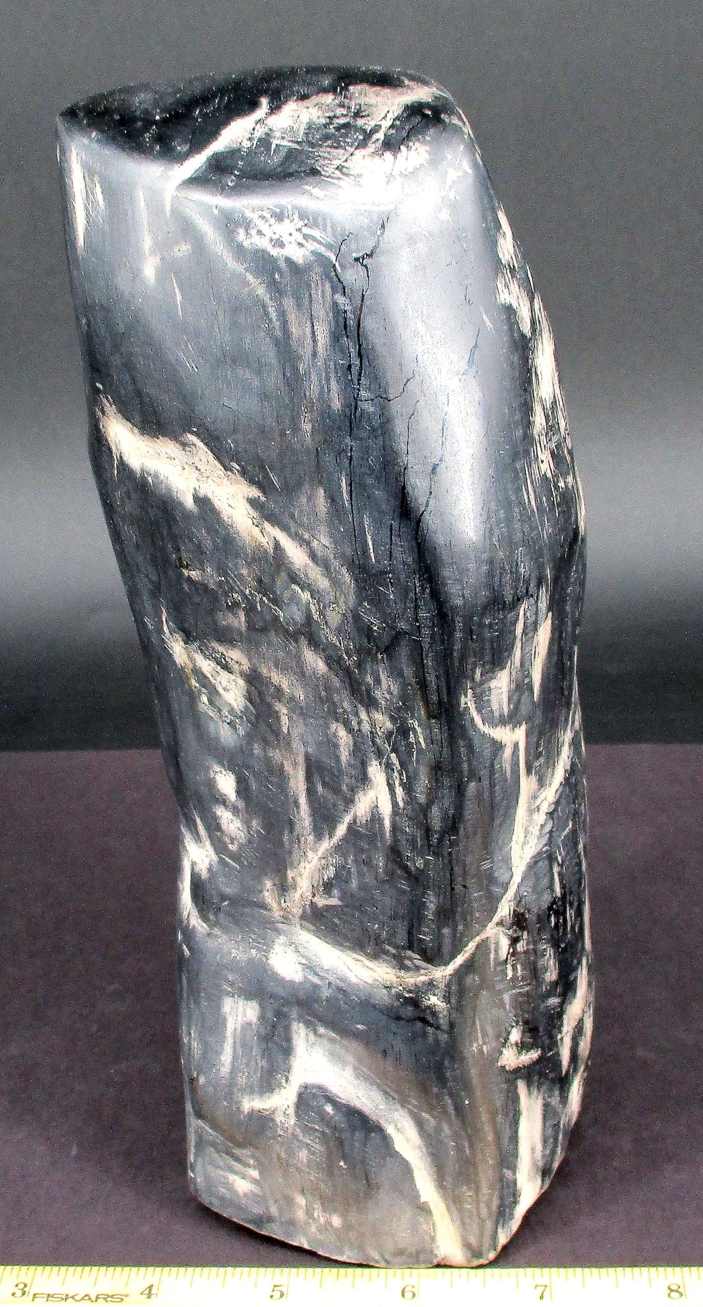 PW306 Indonesia Petrified Wood - The Rock Shed