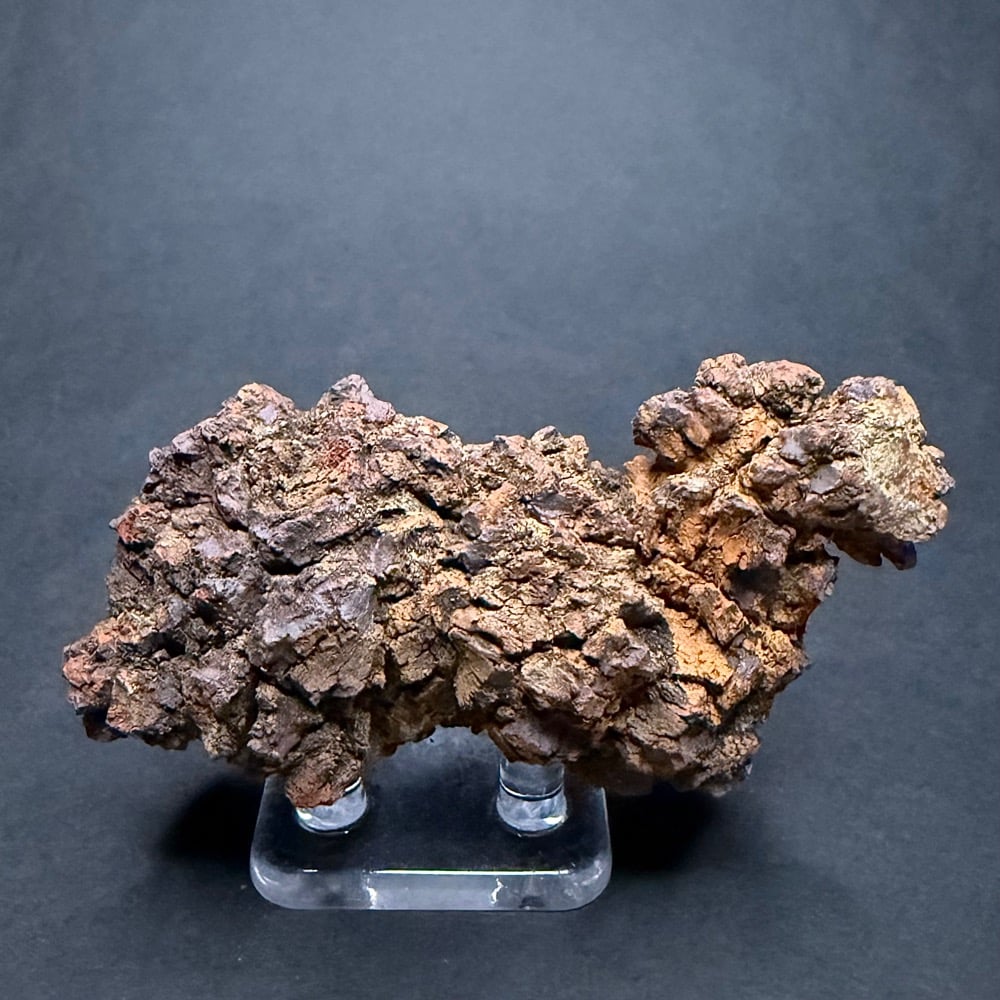 FO609 Coprolite - The Rock Shed