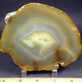 Agate Display Specimens For Sale - The Rock Shed