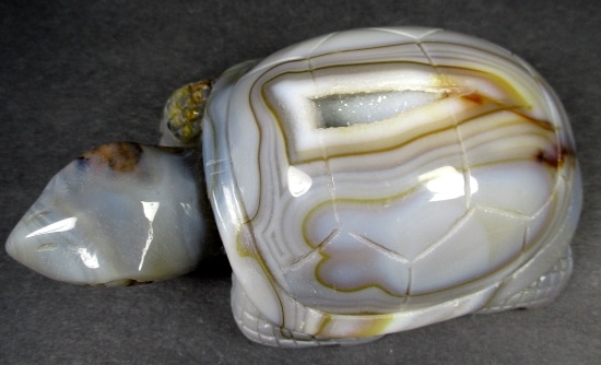 CV200 Agate Turtle - The Rock Shed