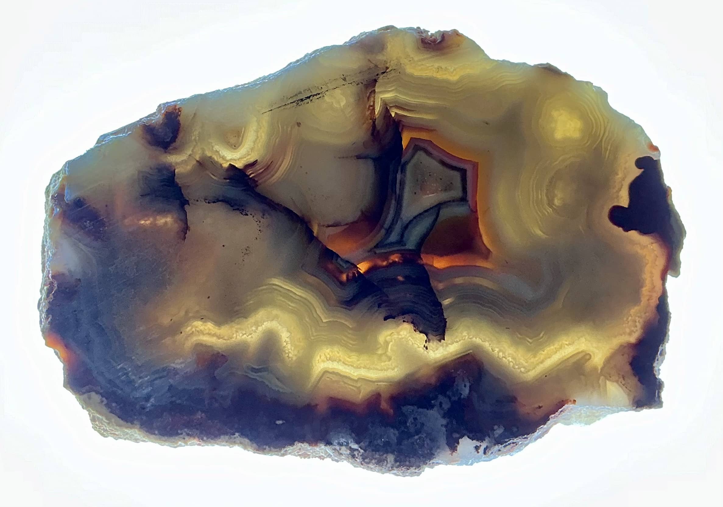 SL307 Mexican Lace Agate - The Rock Shed