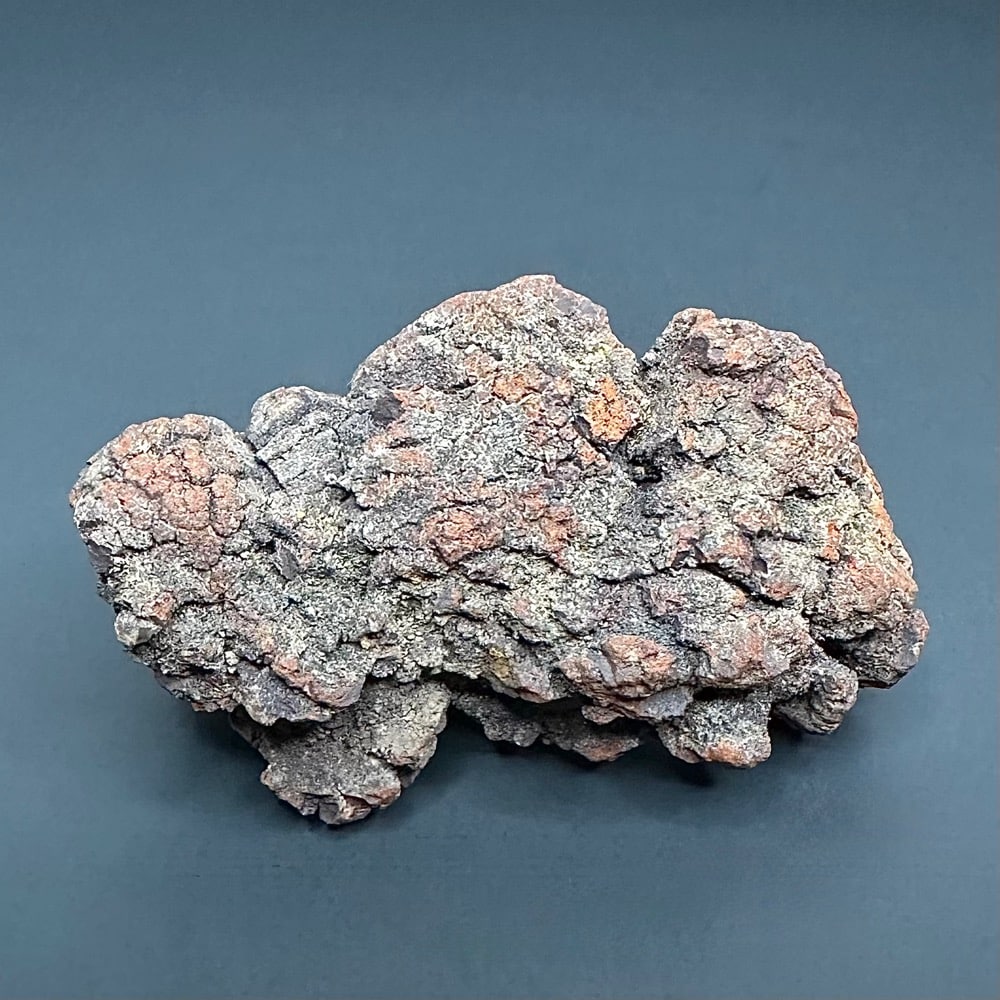 FO510 Fossil Turtle Poop - The Rock Shed