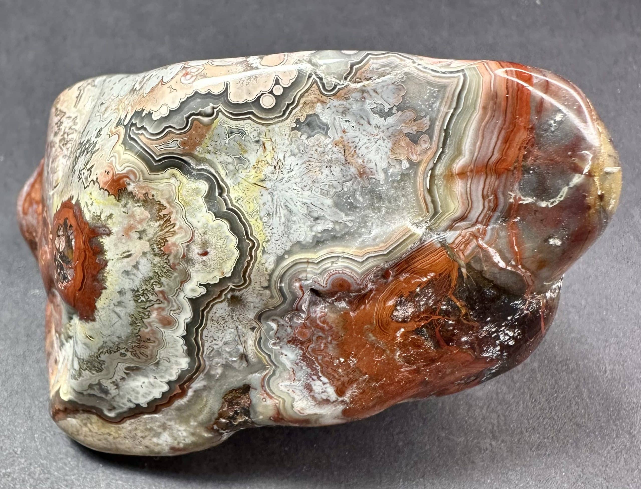 PR713 Mexican Lace Agate - The Rock Shed