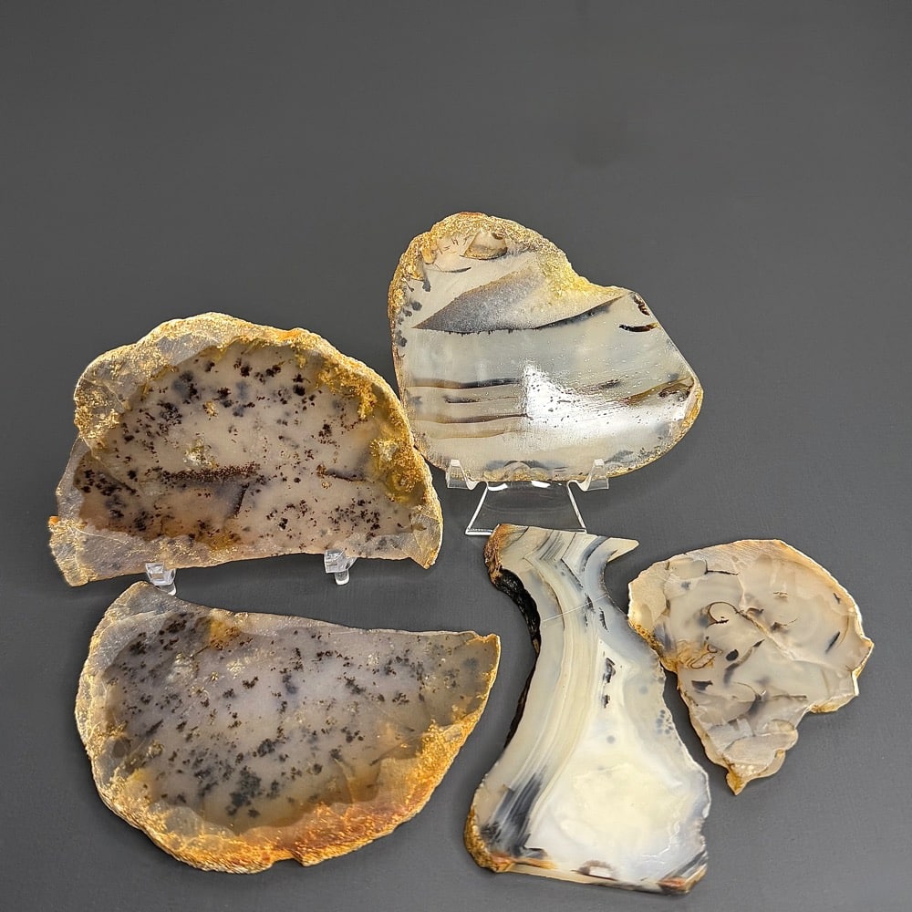 SL209 Montana Moss Agate - The Rock Shed