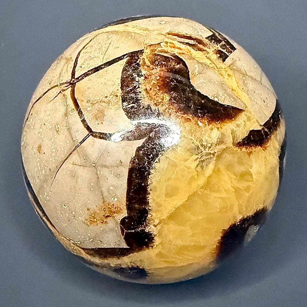 SP900 Septarian - The Rock Shed