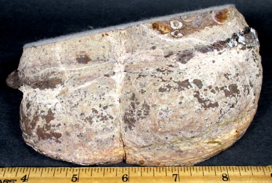 PR507 Dugway Geode - The Rock Shed