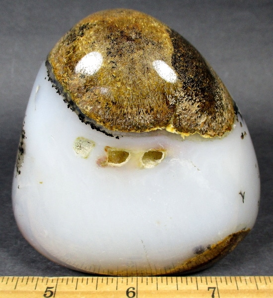 PR614 Sagenitic Agate - The Rock Shed