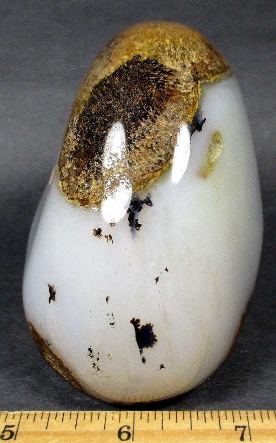 PR614 Sagenitic Agate - The Rock Shed