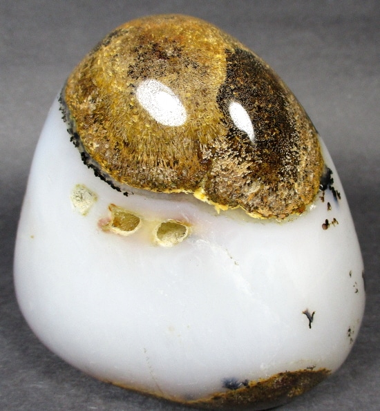 PR614 Sagenitic Agate - The Rock Shed