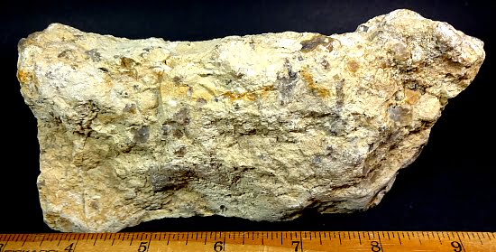 PR703 Nebraska Blue Agate - The Rock Shed