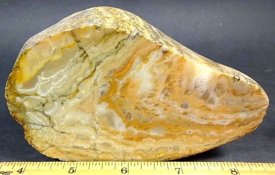 PR909 South Dakota Prairie Agate - The Rock Shed