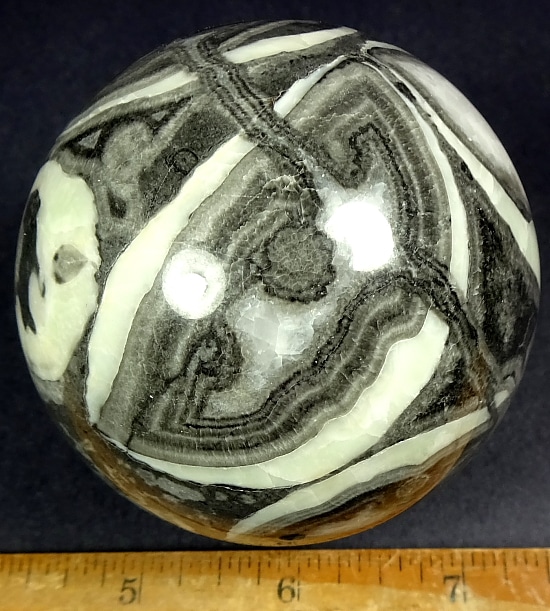 SP313 Fossil Shell Marble - The Rock Shed