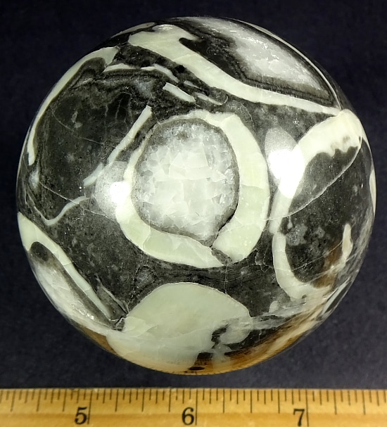 SP313 Fossil Shell Marble - The Rock Shed