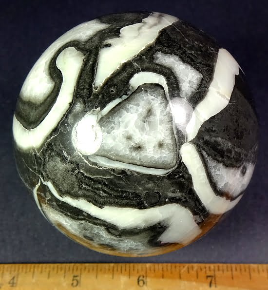 SP313 Fossil Shell Marble - The Rock Shed