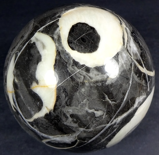 SP313 Fossil Shell Marble - The Rock Shed