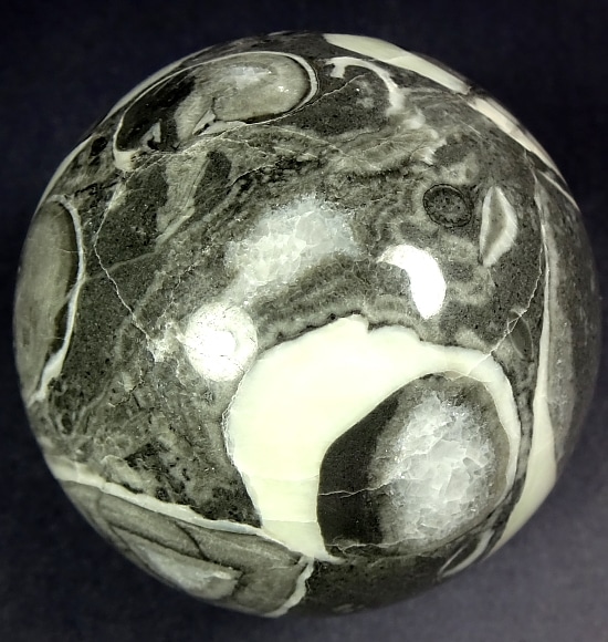 SP313 Fossil Shell Marble - The Rock Shed