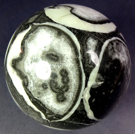 SP313 Fossil Shell Marble - The Rock Shed