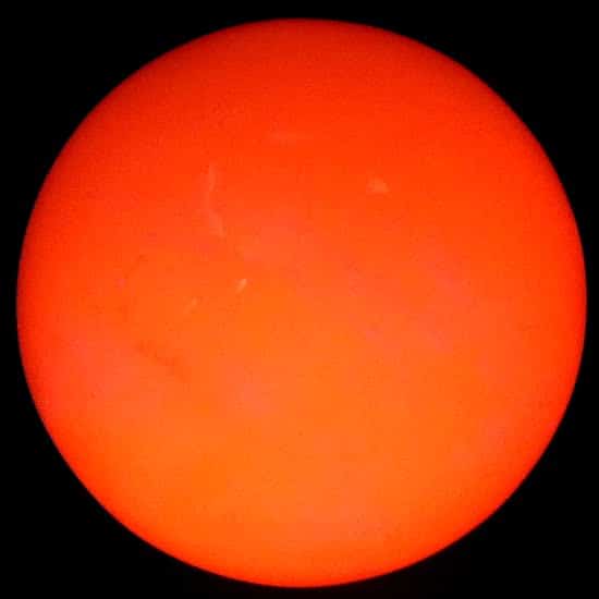 SP702 Mango Calcite - The Rock Shed