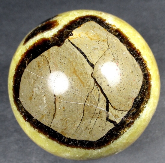 SP900 Septarian - The Rock Shed