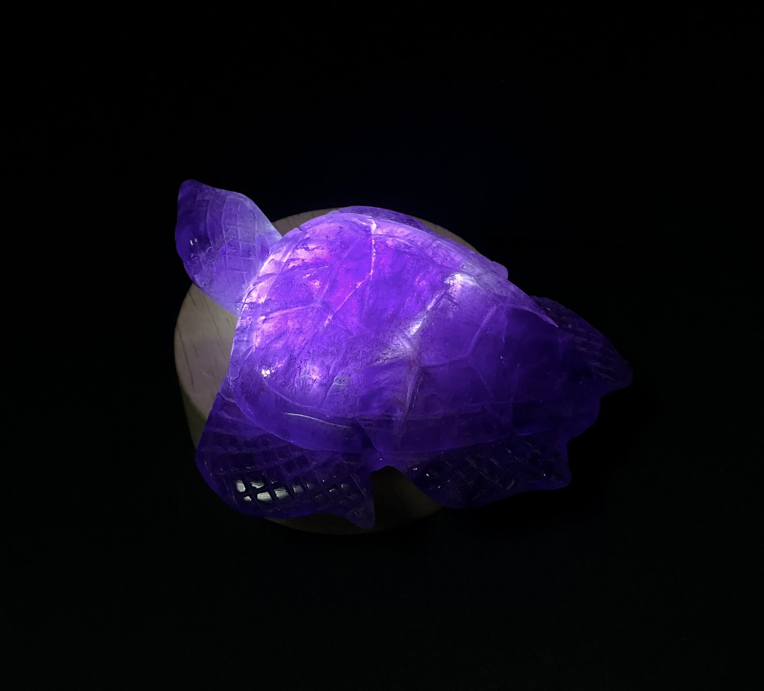 CV200 Amethyst Crystal Turtle - The Rock Shed