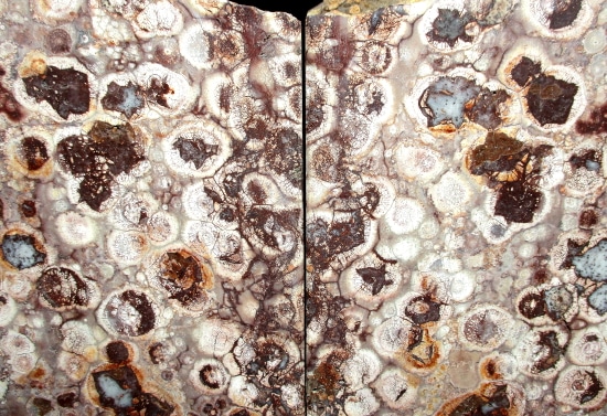 BK111 Bird's Eye Rhyolite Bookends - The Rock Shed