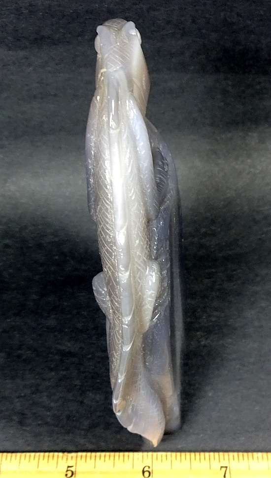 CV200 Agate Lizard - The Rock Shed