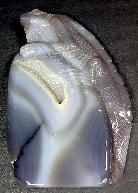 CV200 Agate Lizard - The Rock Shed
