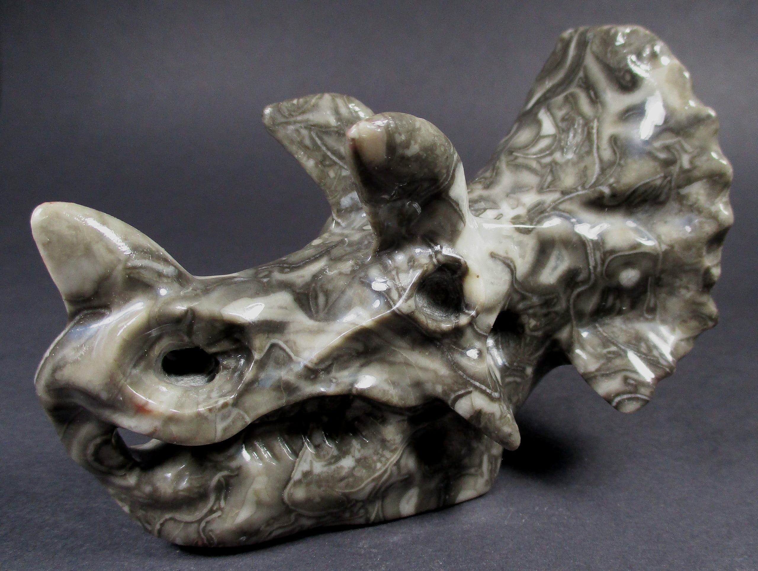 CV203 Fossil Marble Triceratops - The Rock Shed