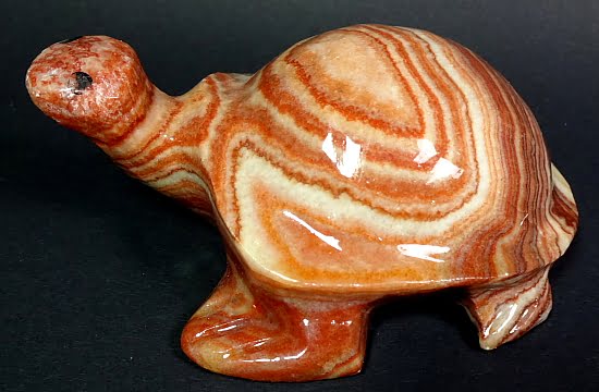 CV304 Marble Turtle - The Rock Shed