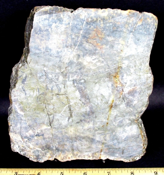 FO115 Coprolite - The Rock Shed