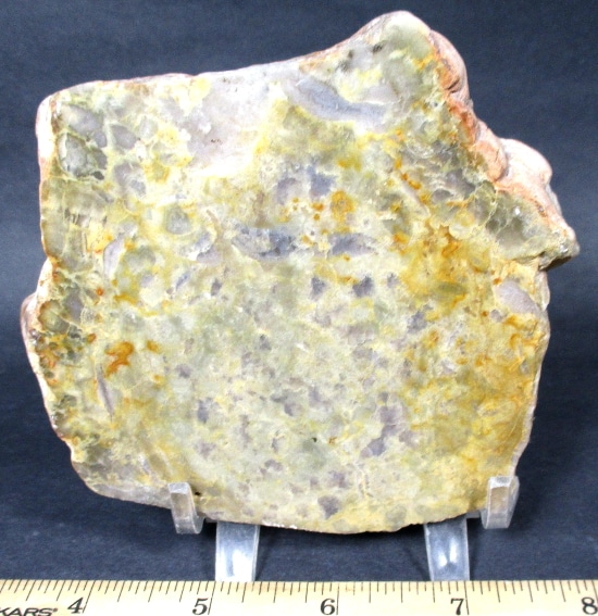 FO313 Coprolite - The Rock Shed
