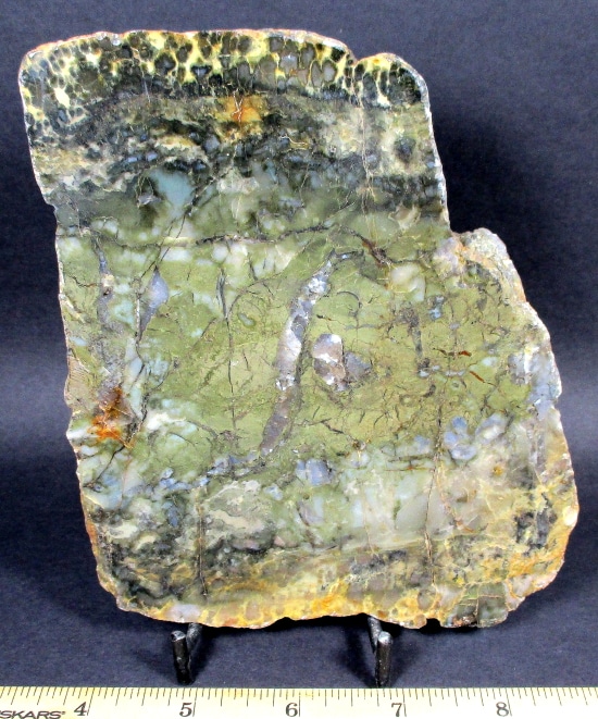 FO313 Coprolite - The Rock Shed