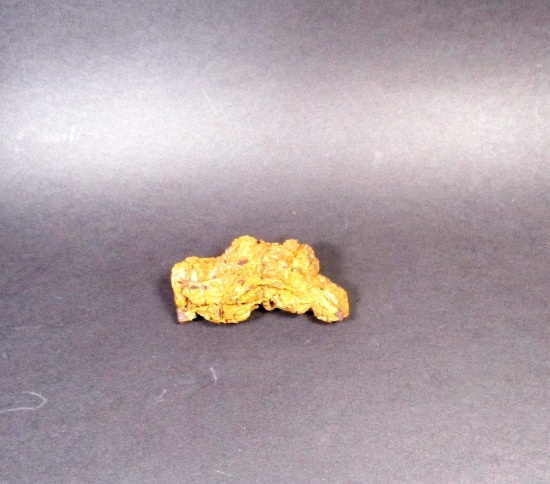 FO510 Fossil Turtle Poop - The Rock Shed