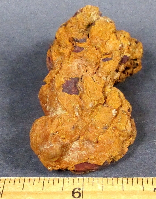 FO510 Fossil Turtle Poop - The Rock Shed