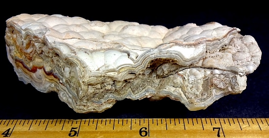 M817 Mexican Lace Agate - The Rock Shed