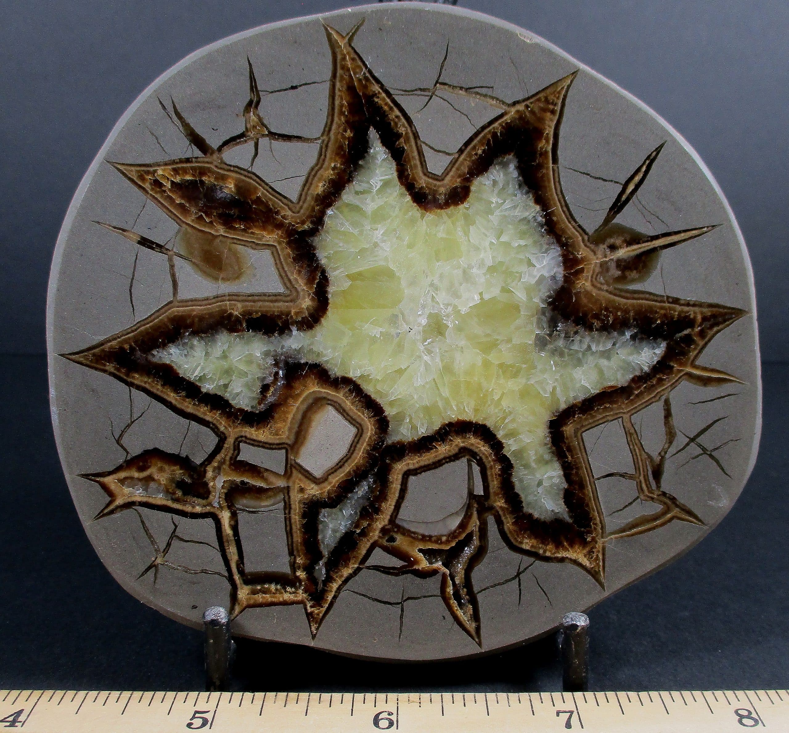 SEP114 Septarian End - The Rock Shed