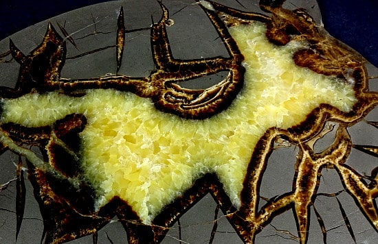 SEP100 Septarian Slab - The Rock Shed