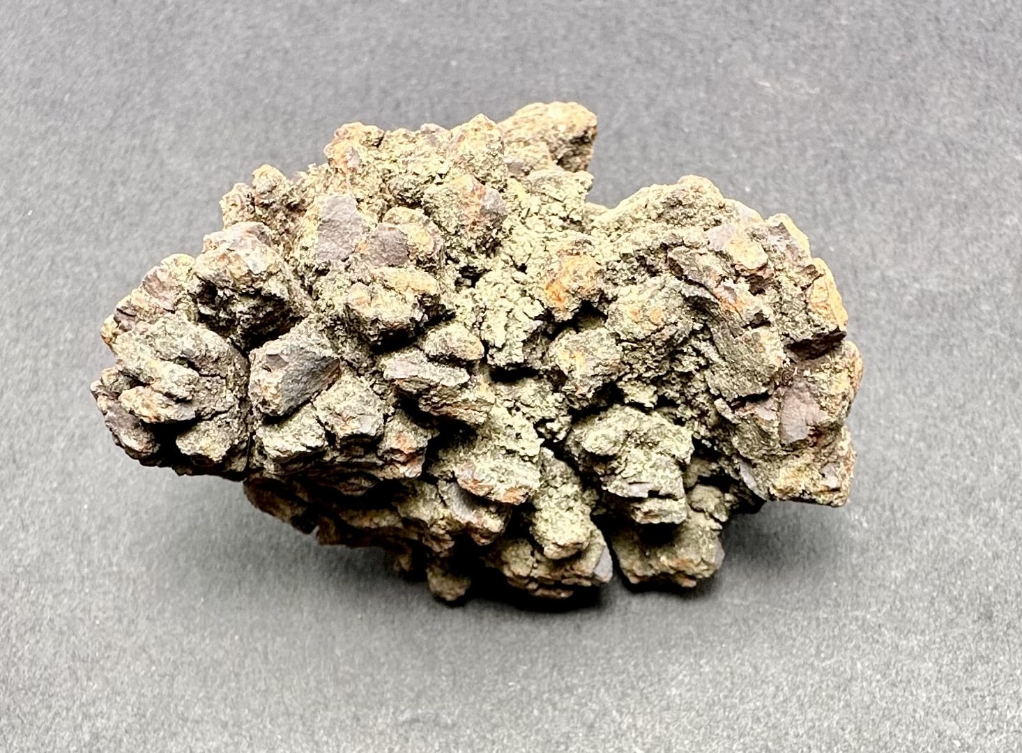 FO609 Coprolite - The Rock Shed