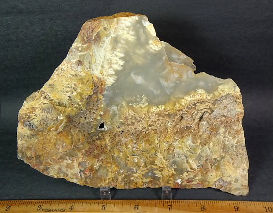 SL105 Graveyard Plume Agate - The Rock Shed