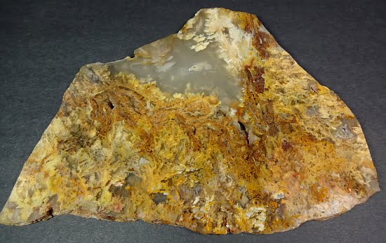 SL105 Graveyard Plume Agate - The Rock Shed