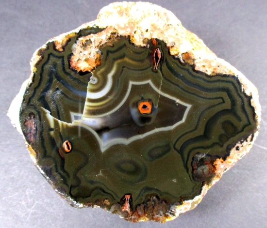 AG311 Turkey Agate - The Rock Shed