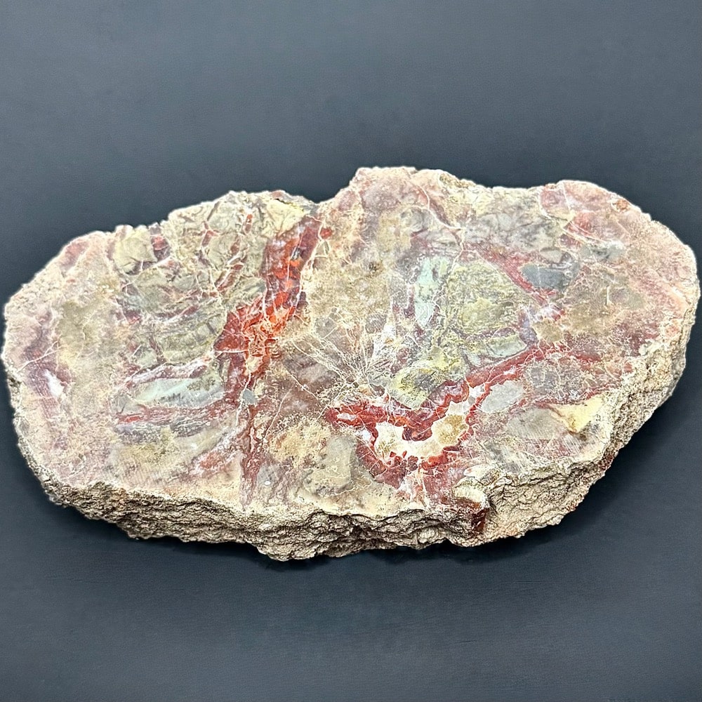 BCR410 Dinosaur Coprolite - The Rock Shed